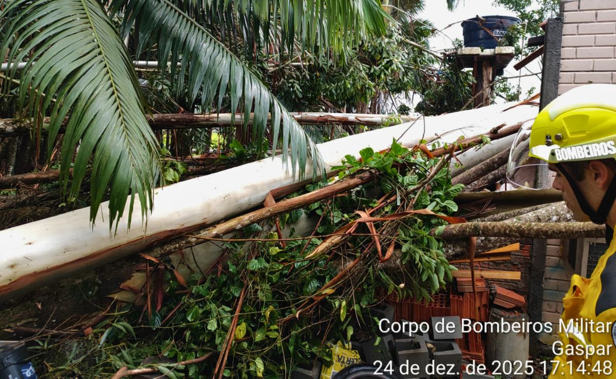 Amve cobra Celesc e Estado após sucessivas quedas de energia no Vale ...